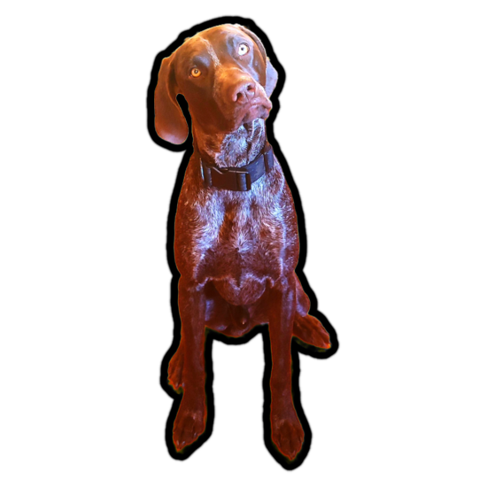 Custom Mood Mats – custom moodmats