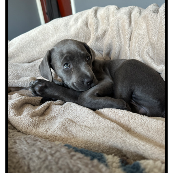 Custom Mood Mats – custom moodmats